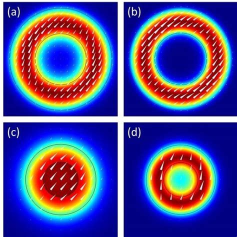 Cross Sections Of The Electric Field Distribution Of The Fundamental