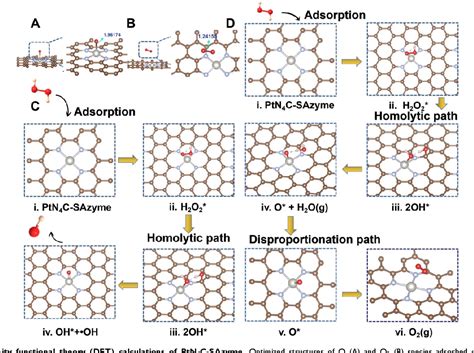 Figure 3 From Tumor Microenvironment Activated Single Atom Platinum Nanozyme With H2o2 Self