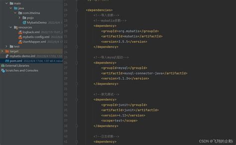 Javaweb、maven与mybatis框架mybatis能提供标准化项目结构吗 Csdn博客
