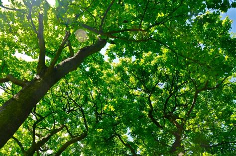 [심리] 색깔 의미 색채심리 빨주노초파남보 상징 컬러 판단 네이버 블로그