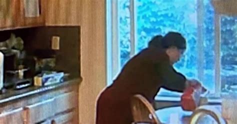 California Doctor Charged With Poisoning Husband With Drain Cleaner