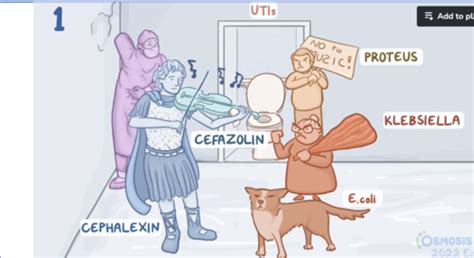 Osmosis Cephalosporin Video X First Abx Lecture Cephalosporin Section