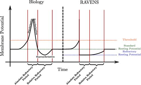 Figure 1 From Benchmark Comparisons Of Spike Based Reconfigurable Neuroprocessor Architectures