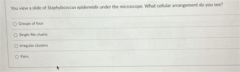Solved You View A Slide Of Staphylococcus Epidermidis Under