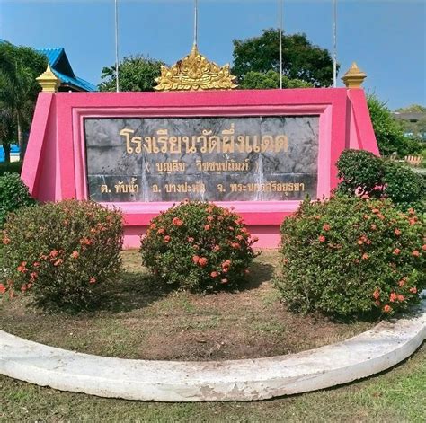 โรงเรียนวัดผึ่งแดด บุญสืบวิชชนูปถัมภ์ Ayutthaya