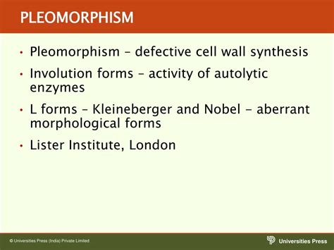 Ppt Exploring Bacterial Cell Morphology And Microscopy Techniques