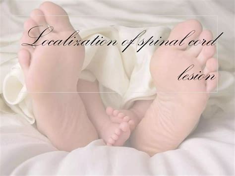 Spinal Cord Lession Localisation Pptx