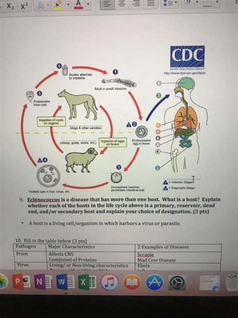 Solved Echinococcus Is A Disease That Has More Than One