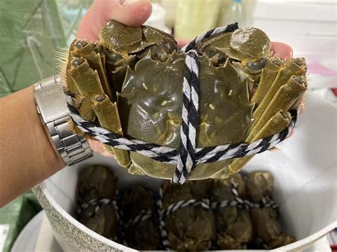 兴化红膏大闸蟹4 5两公3 5两全母大螃蟹鲜活海鲜特大现货河蟹礼盒 虎窝淘