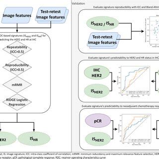The Study Workflow Showing The Discovery And Validation Steps Download Scientific Diagram