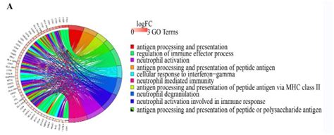 整点好发的！7 单细胞测序数据集发表宫颈癌高分文章 单细胞测序网