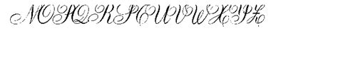 Ambassador Script Pro Font Script Elegant What Font Is