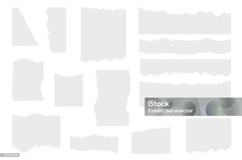 가장자리나 모서리가 찢어진 사실적인 종이 조각을 비웁니다 손상된 구조를 가진 벡터 격리 된 빈 시트 찢어진면이있는 다양한 메모