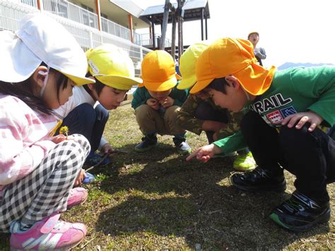 みつけた興道南部保育園のブログ