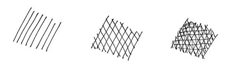 How To Draw A Big Realistic Tree Hotchkiss Yese1996