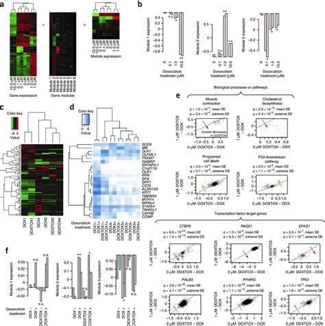 Modulation Of Gene Expression In Hesc Cms And Hipsc Cms By Doxorubicin