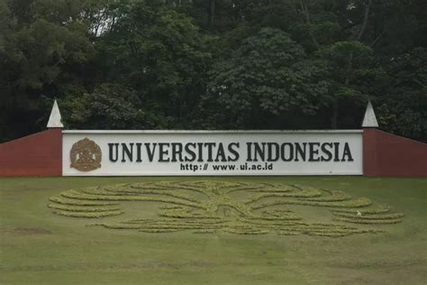 Catat Ini Daftar Daya Tampung Di Snbt 10 Jurusan Ui 2024 Auto Lolos