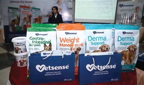 Stress Colitis In Dogs Causes Symptoms And Treatment