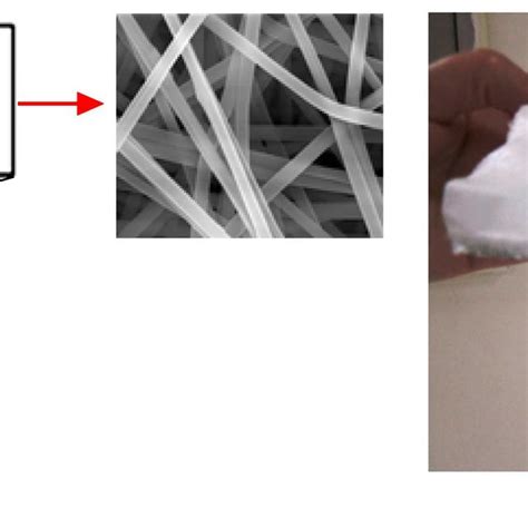 a the strategy of fabrication of tio2 sio2 core shell nanoobers b