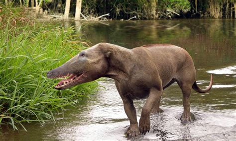 Modern Science Refutes The Evolutionary Theory The Absence Of