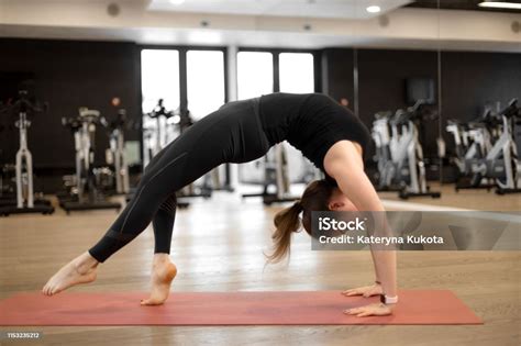 체육관에서 여자는 모양에 자신을 유지 하거나 초과 무게를 제어 하는 요가 않습니다 개념에 대한 스톡 사진 및 기타 이미지 개념 개념과 주제 건강한 생활방식 Istock