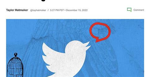 Why Is Anyone Still On The Elon “free Speech” Platform Album On Imgur