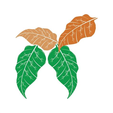 Premium Vector Tobacco Leaf Icon
