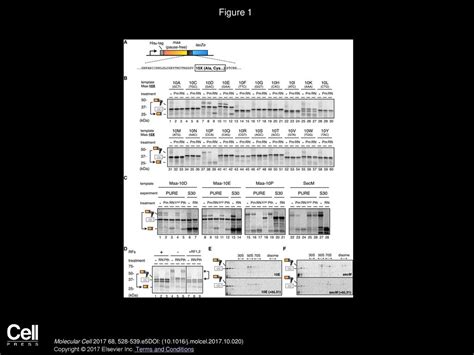 Volume Issue Pages E November Ppt Download