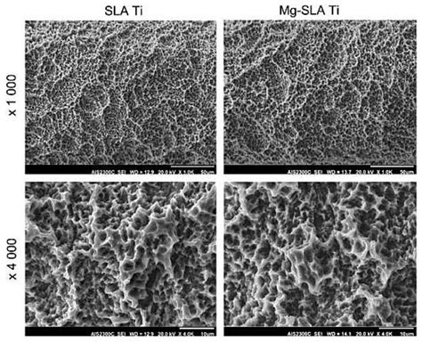 Coatings Free Full Text Innovative Surface Modification Procedures To Achieve Micronano