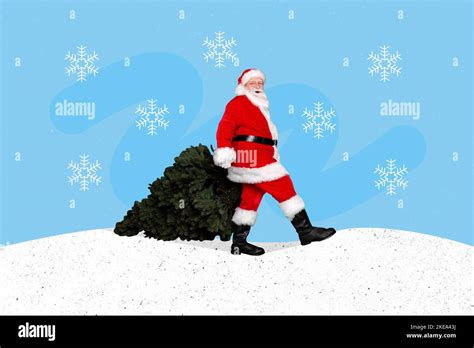 Composite Collage Picture Of Grandfather Santa Walk Carry Newyear Tree