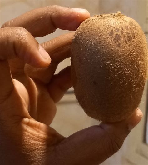 What Is The Cause For These Patterns On My Kiwi Fruit Biology Stack