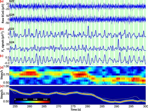 The Outputs Of The Step Rate Decoding Stages Data Are Shown At The