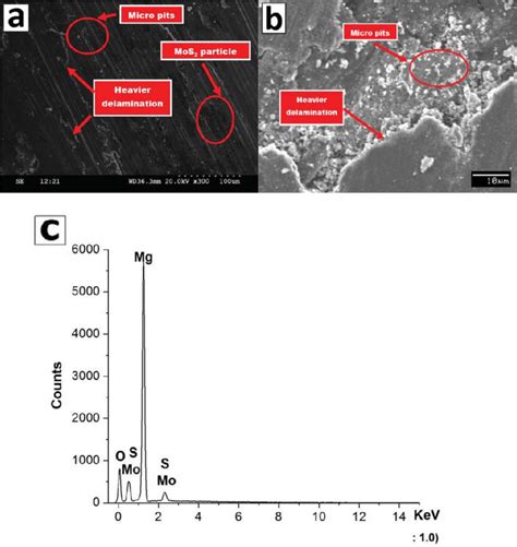 A Low Magnification Sem Micrograph B High Magnification Sem