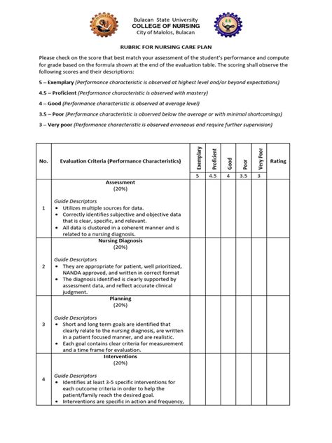 Nursing Care Plan Rubric Pdf Rubric Academic Nursing