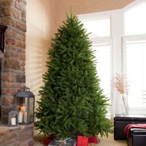 national tree company