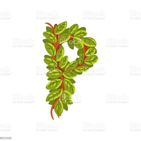 편지 P 영어 알파벳의 나뭇가지 기치 카드 라벨 프레 젠 테이 션 또는 포스터 벡터 일러스트 레이 션에 대 한 생태 요소 0명에 대한 스톡 벡터 아트 및 기타 이미지