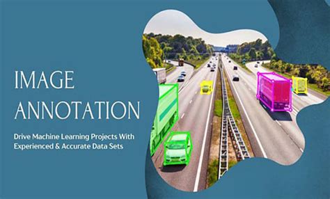 Do Image Annotation Data Annotation With A Bounding Box By Nishattasnim323 Fiverr