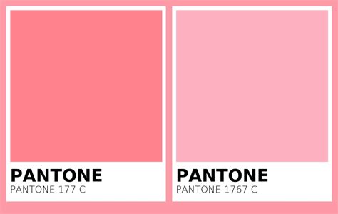 Color PANTONE C Vs PANTONE C Side By Side