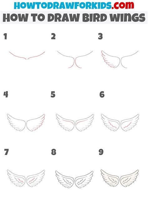 How To Draw Bird Wings Step By Step Wings Drawing Bird Drawings Bird Wings