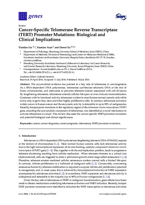 Pdf Cancer Specific Telomerase Reverse Transcriptase Tert Promoter