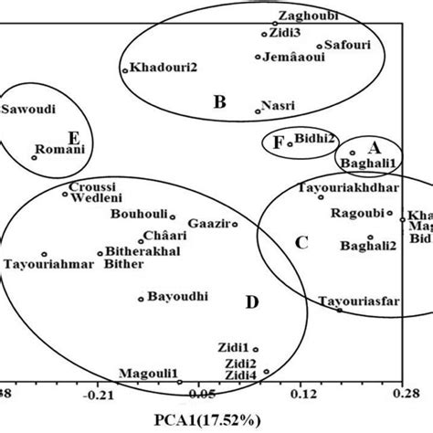 Principal Component Analysis Grouping The 30 Tunisian Fig Accessions