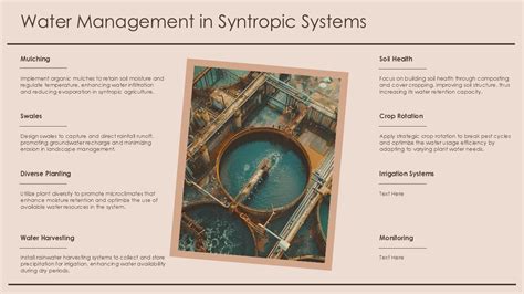 Syntropic Regenerative Agriculture System Design Ppt Template St Ai Ppt Presentation Ppt Powerpoint