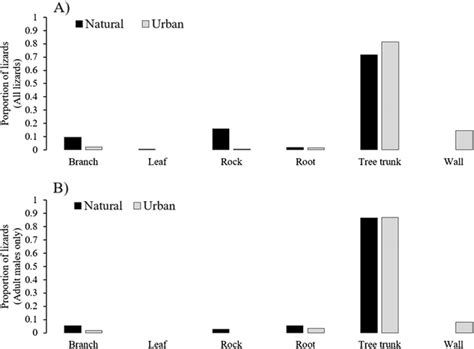 Microhabitat Substrate Use Of A Sagrei In Natural Black Vs Urban