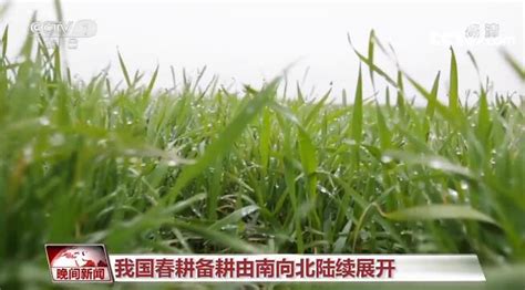 立春已过大地回暖 我国春耕备耕由南向北陆续展开 经济民生 新闻频道