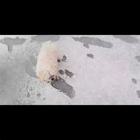 눈을 뚫고🤪 Youtube