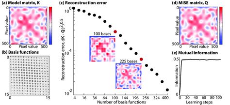 Reconstructing A High Rank Quadratic Filter Using Stimuli Extracted Download Scientific Diagram