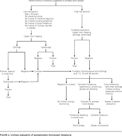 Figure 2 From Asymptomatic Microscopic Hematuria In Adults Summary Of