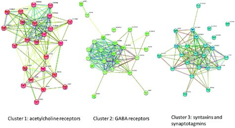 gene clusters as determined by string analysis indicating three download scientific diagram