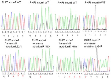 Representative Dna Sequencing Chromatograms Of T Cell Acute Download Scientific Diagram