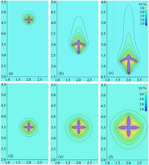 The Snapshots Of Simulated Dendritic Morphology And Solute